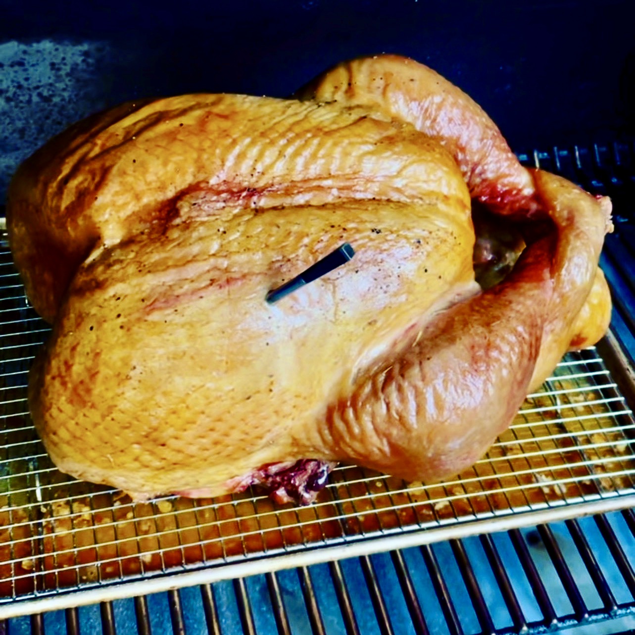 How to cook a Turkey: The Complete Chef’s Guide (oven, deep fryer or ...